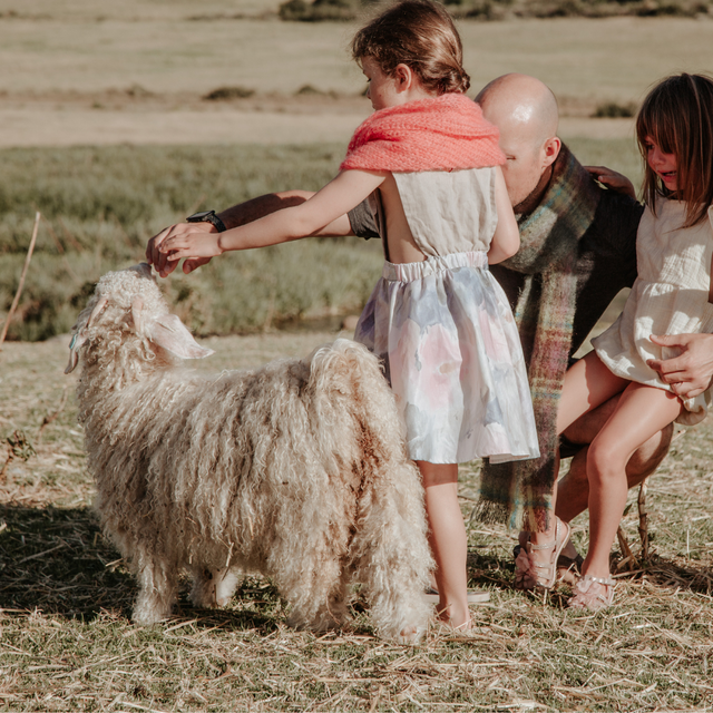 The Glam Goat – The Glamorous Goat